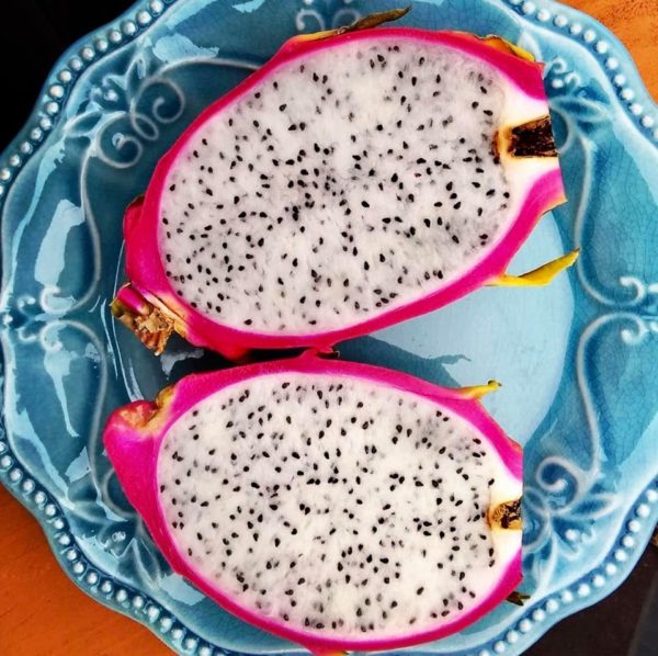 pitaya bowl - ChinDeep