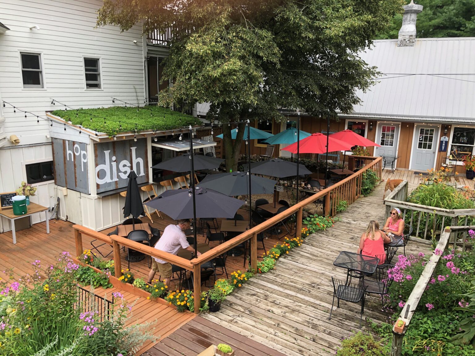 hop dish & vine ~ stockholm wisconsin - ChinDeep