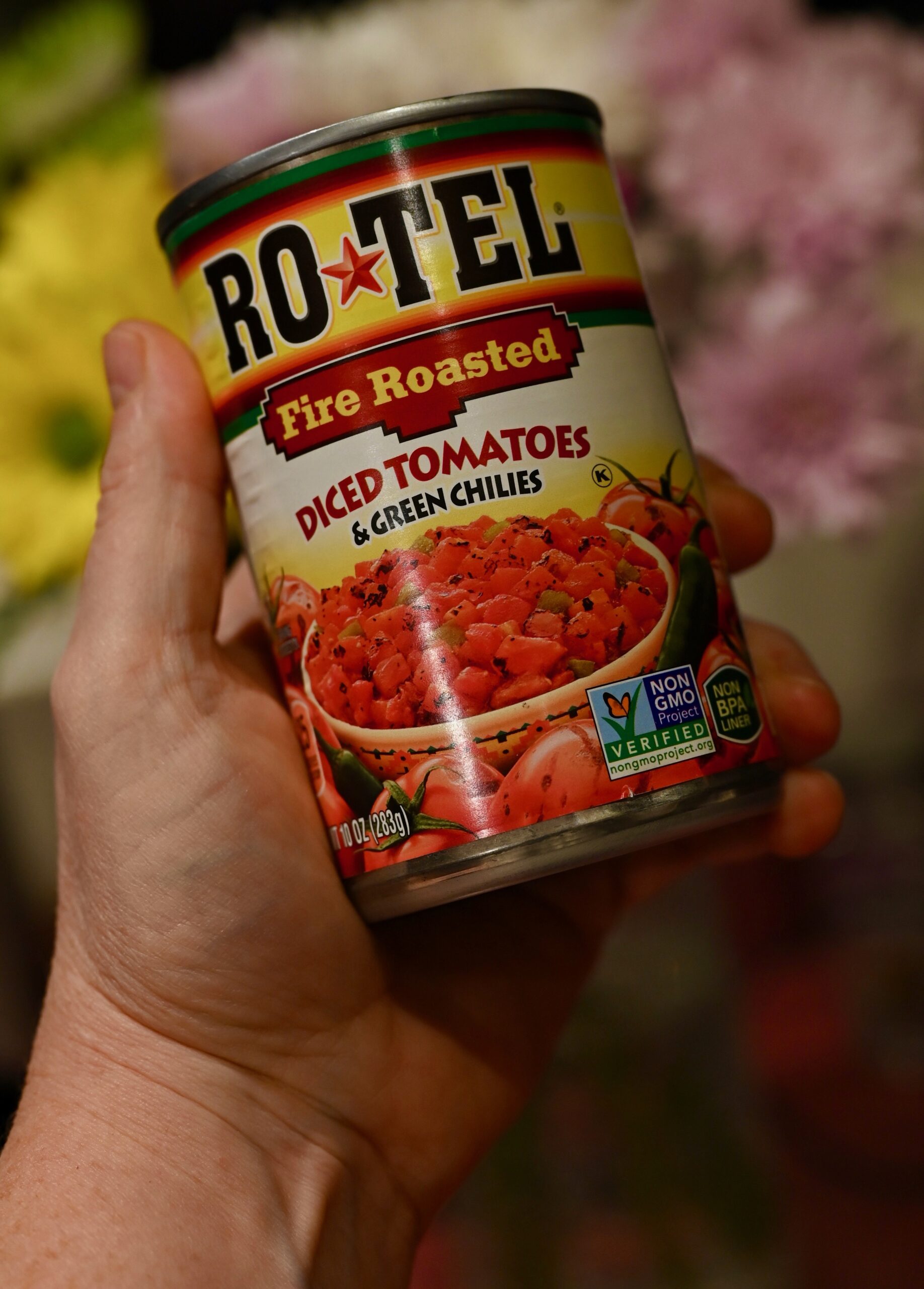 easy ro-tel salsa - ChinDeep